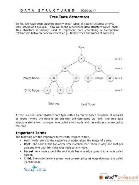 Module 10 Data Structures Non Linear Trees And Graph Data Structures Pdf