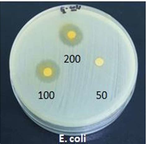 Antibacterial Activity Screen Of Oxime Derivative Download Scientific Diagram