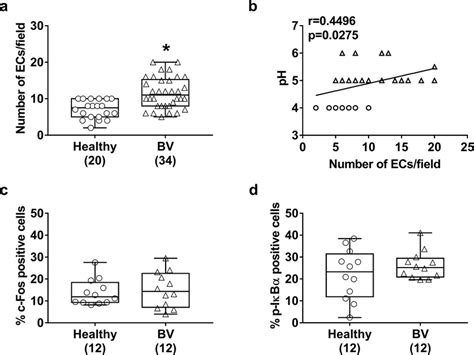 Determination Of The Number Of Ecsfield And Flow Cytometric Analysis