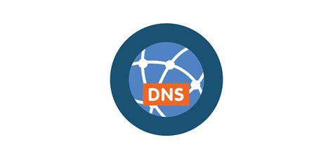 automating dns propagation checks with dig on linux