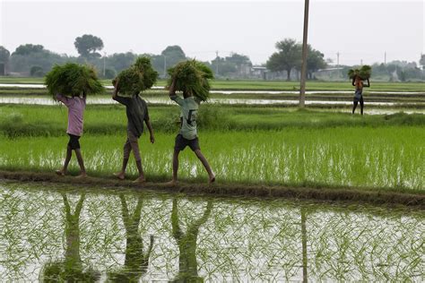 Unified Lending Interface Uli