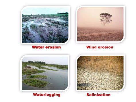 Role Of Forestry In Restoration Of Degraded Lands Pptx