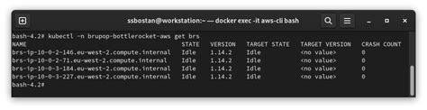 Aws Eks Part 6 Deploy Bottlerocket Workers And Update Operator