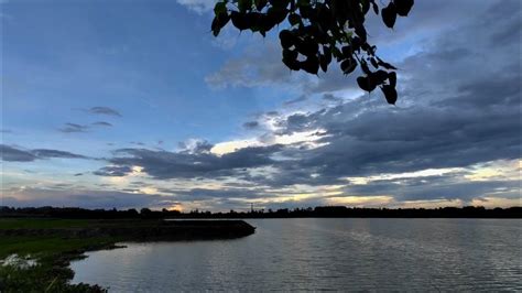 Natural Video 🌿 । গ্রাম বাংলার প্রকৃতি Youtube