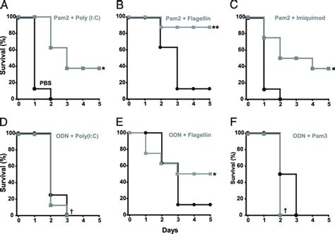 Not All Of The Tlr Agonist Combinations Protect Against Pneumonia