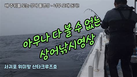 누가 다 볼 수 있을까 상어낚시 영상 상어는 힘이 세다 출조010 5306 1517 24년6월8일 제주서귀포 위미항 산타크루즈호 Youtube