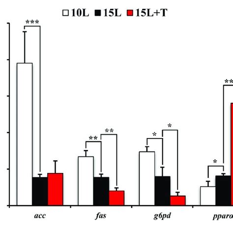 Expression Levels Of Genes Involved In Lipid Anabolism And Catabolism
