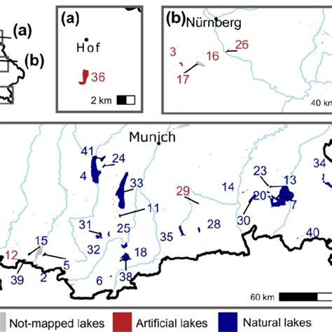 1 Differentiation In Submerged A And Emergent Macrophytes D Download Scientific Diagram