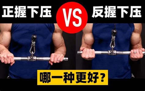 正握vs反握，哪种做法能够练大肱三头肌呢？ Up健身 Up健身 哔哩哔哩视频