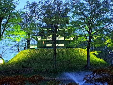 高田城址公園 ライトアップ by 野良なお ID11750529 写真共有サイト PHOTOHITO