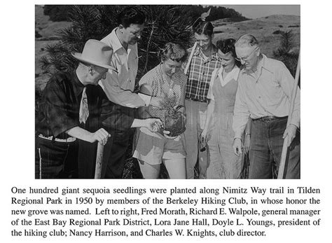Sequioa Planting Trees To Plant Historical Photos Plants Sequioa Planting Trees To Plant Historical Photos Plants