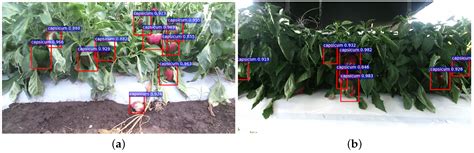 Deepfruits A Fruit Detection System Using Deep Neural Networks