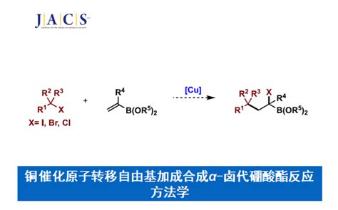 Jacs：铜催化原子转移自由基加成合成α 卤代硼酸酯反应方法学 化学空间 Chem Station