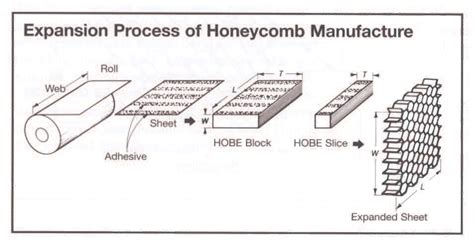 Expansion Process Of Honeycomb Manufacture Download Scientific Diagram