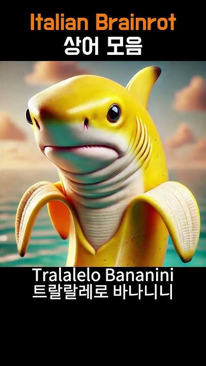 이탈리안 브레인롯 상어 트랄랄레로트랄랄라 모음 Youtube