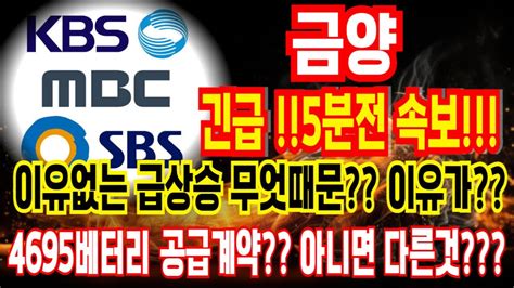 금양 주가전망 이유는 Youtube