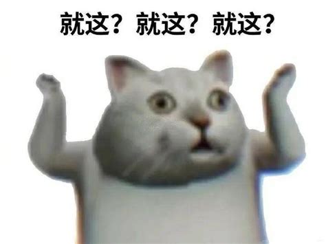 Mur猫表情包合集6 知乎