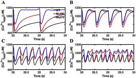 Understanding Calmodulin Variants Affecting Calcium Dependent