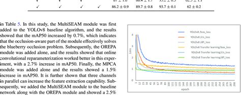 Comparison Of Yolov8 And Yolov8 Transfer Learning Loss Curves