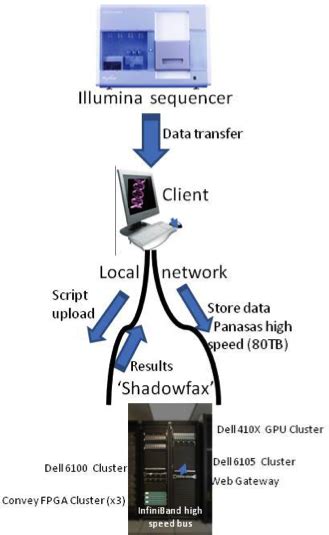 High Performance Computing Nutritional Immunology And Molecular Medicine Laboratory