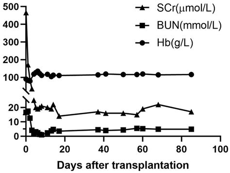 Graft Function And Hemoglobin Levels After Transplantation After