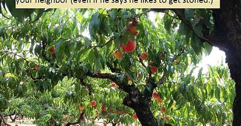 One Word Multiple Meanings Imgur