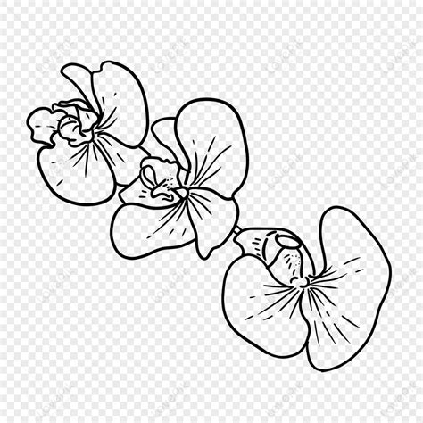 잎 꽃의 세 열 일러스트 대 식물 라인초안꽃들 Png 일러스트 무료 다운로드 Lovepik