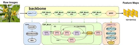 Local Structure Of The Cspnet Backbone Network Download Scientific Diagram