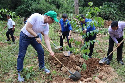 Kh I Ng Ch Ng Tr Nh Tri U C Y Xanh V M T Vi T Nam Xanh N M Th