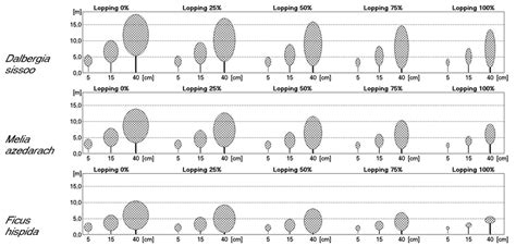 Variation Of Tree Proportions For Selected Tree Species Depending On Download Scientific