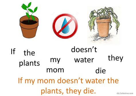 Zero Conditional Grammar Guide English ESL Powerpoints