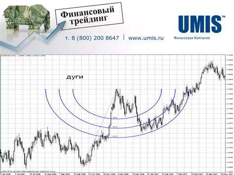 Fibonachi Theory Ppt