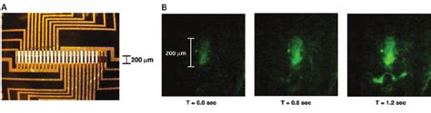 Ifm Results Obtained In Deionized Water Between A Hydrophobically Mod