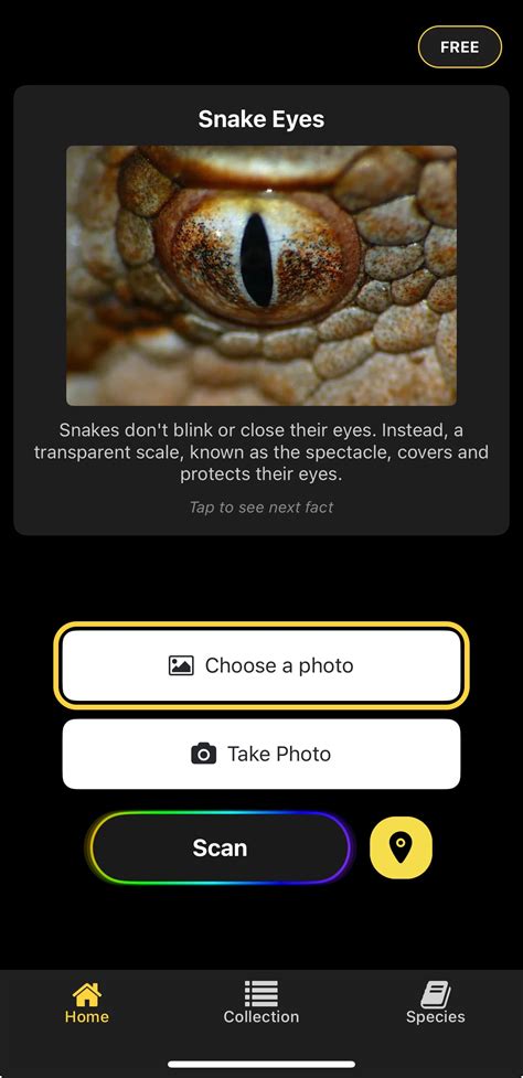 Snake Id Reptile Identifier