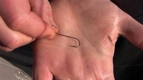 How To Rig A Live Minnow For Maximum Action Different Ways To Hook