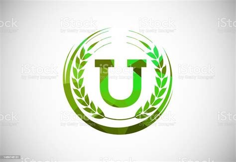 알파벳 U는 밀 화환으로 서명합니다 다각형 낮은 폴리 유기농 밀 농업 로고 개념 농업 로고 디자인 벡터 템플릿입니다 개념에 대한