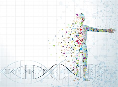 Шаблон биология