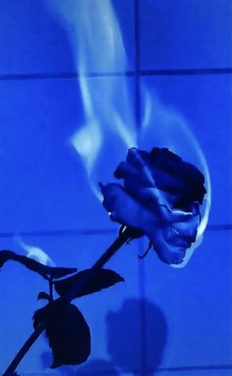 Pin Von Lui Même Auf в ℓ υ є Foto Blau Blaue Sachen Blaue ästhetik