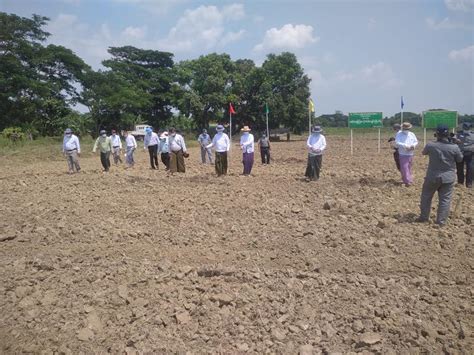 ဧရာဝတီတိုင်းဒေသကြီးဝန်ကြီးချုပ် ဦးတင်မောင်ဝင်းနှင့် အဖွဲ့ဝင်များသည် သစ