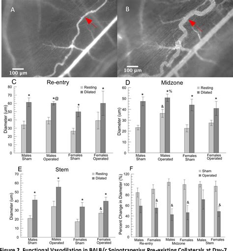 Figure 2 From Sex Differences And The Effects Of Exercise Training On Functional Vasodilation