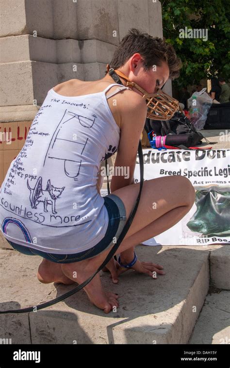 London Uk 13th July 2013 Muzzled And On A Leash A Girl Displays