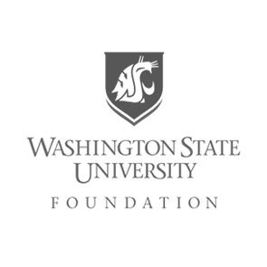 WSU Foundation – Crux Consulting Consortium