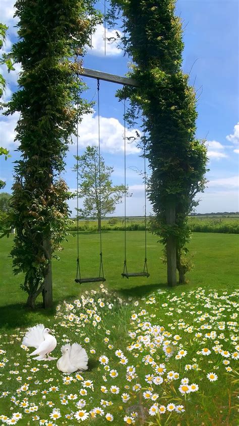 Pin By Adale On Alv Golf Courses Field Swing