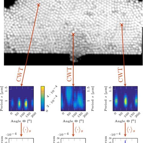 Examples Of Continuous Wavelet Transform Applied To Different Locations Download Scientific