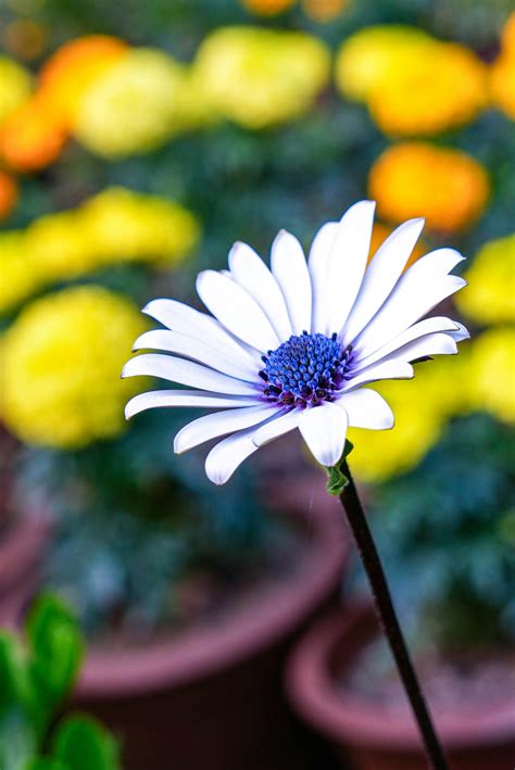 Linkedin Background Devops Photos Download The Best Free Linkedin Background Devops Stock