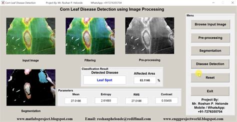 Matlab Code Corn Leaf Disease Detection Using Image Processing Excellent Project Solution