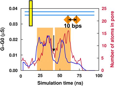 Higher Resolution Of Methylation Detection Using Transverse Electronic Download Scientific