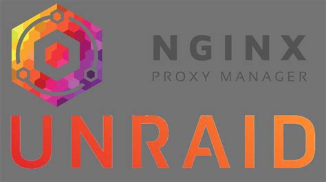 Disponibilização De Containers Docker Pela Internet Com O Nginx Proxy