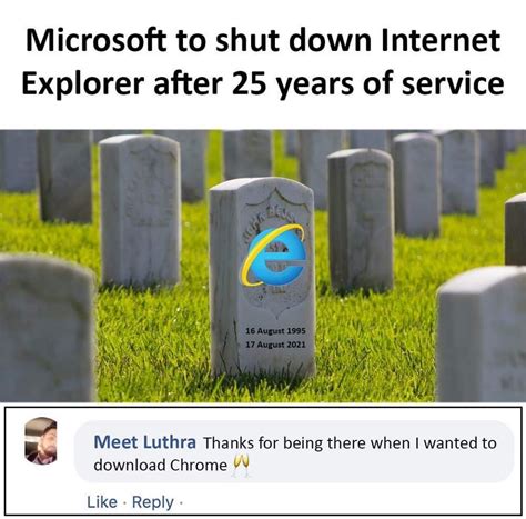 i am programmer i have no life