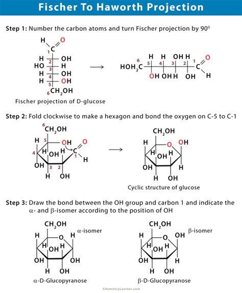Haworth Projection Definition Illustration And Examples